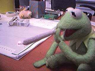 La Hora Punta: EL CUENTO DE LA RANA RENE