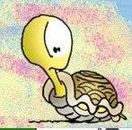 Frikilogia!: Oda a la Lentitud (NO A LA SOPA DE TORTUGA!!!!)