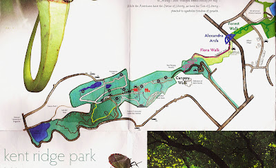 The Little Red Dot: Southern Ridges walk on 25-6-2009