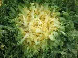 Fructooligosacáridos: un tipo de fibra saludable para el organismo