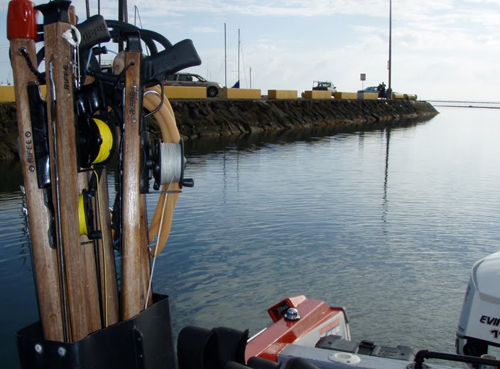 Red Sea Ocean Adventures: Opelu Kala