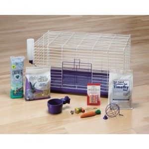 Darlene's Blog: Knowing The Rabbit Pet Supplies