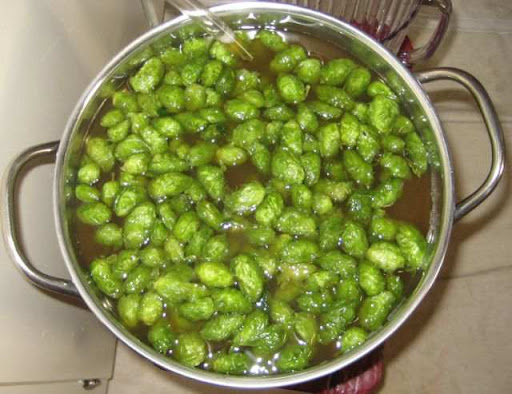 Oshkosh Beer: Nick's Oshkosh Hop Operation