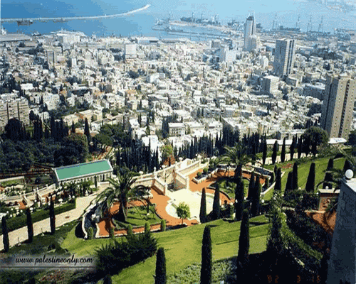 BlogWongJowo: Gaza City - Palestine, The Past Beautiful City