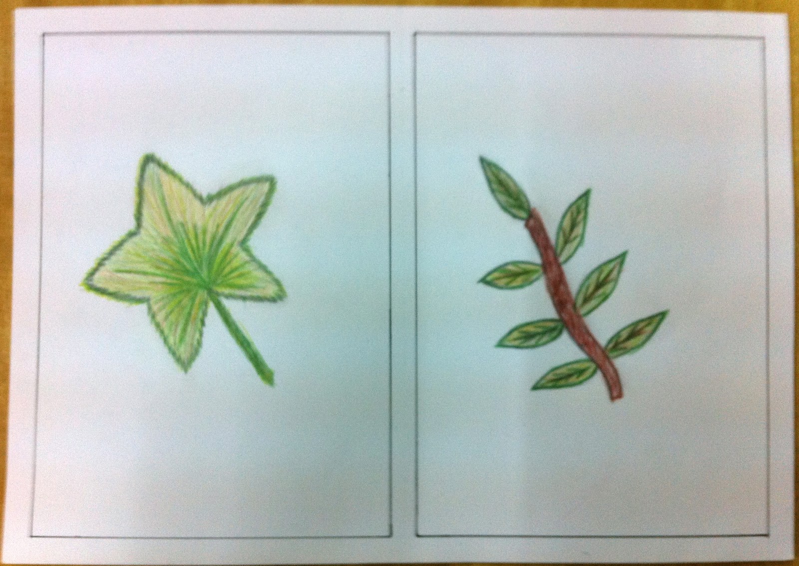 plastica4 blanca: octubre 2010