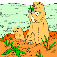 La Marmotte, le Castor et le Petit Prince: L'histoire de Monsieur ...