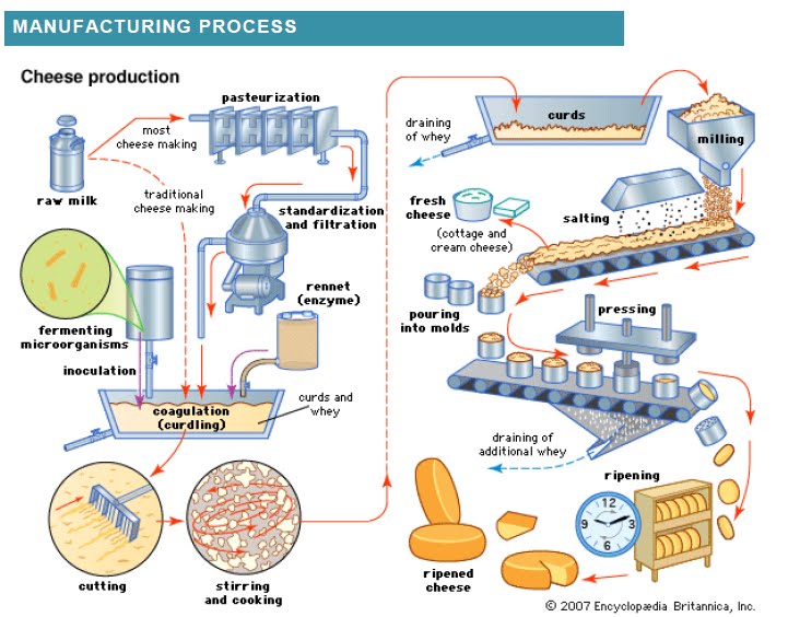 From my mind to my fingertips: Say cheese....