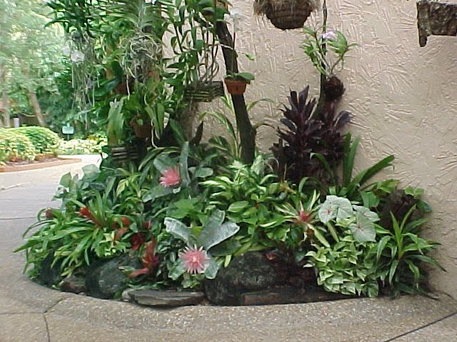 25+ Breathtaking Landscape Design With Bromeliads ~ Danielle Finch
