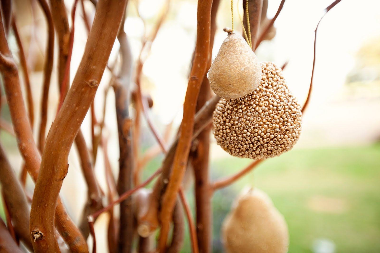 San Antonio Wedding and Event Consultants: Sandra and Jason Mucha ...