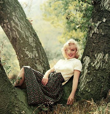 Best Of Art: Marilyn Monroe - A start and an End 23