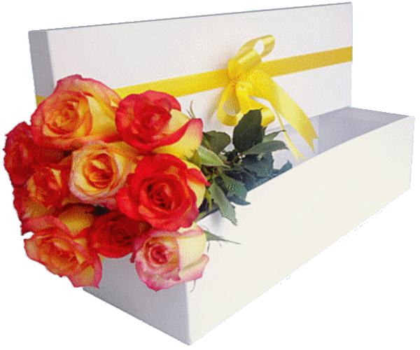 Gifsgifs: Buque de Rosas