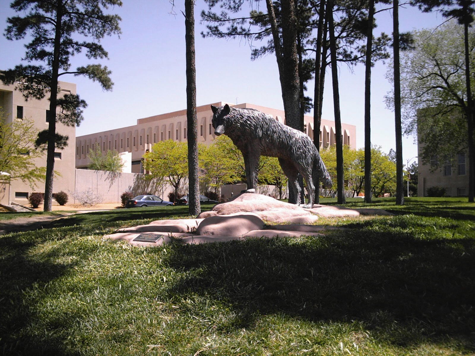 Albuquerque Photo Of The Week: The Lobo Statue