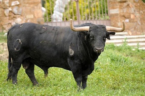 EL RINCON DEL MAESTRO.