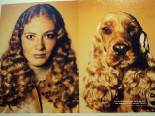 Teach Me An English Lesson: Speaking - Do people resemble their pets ...