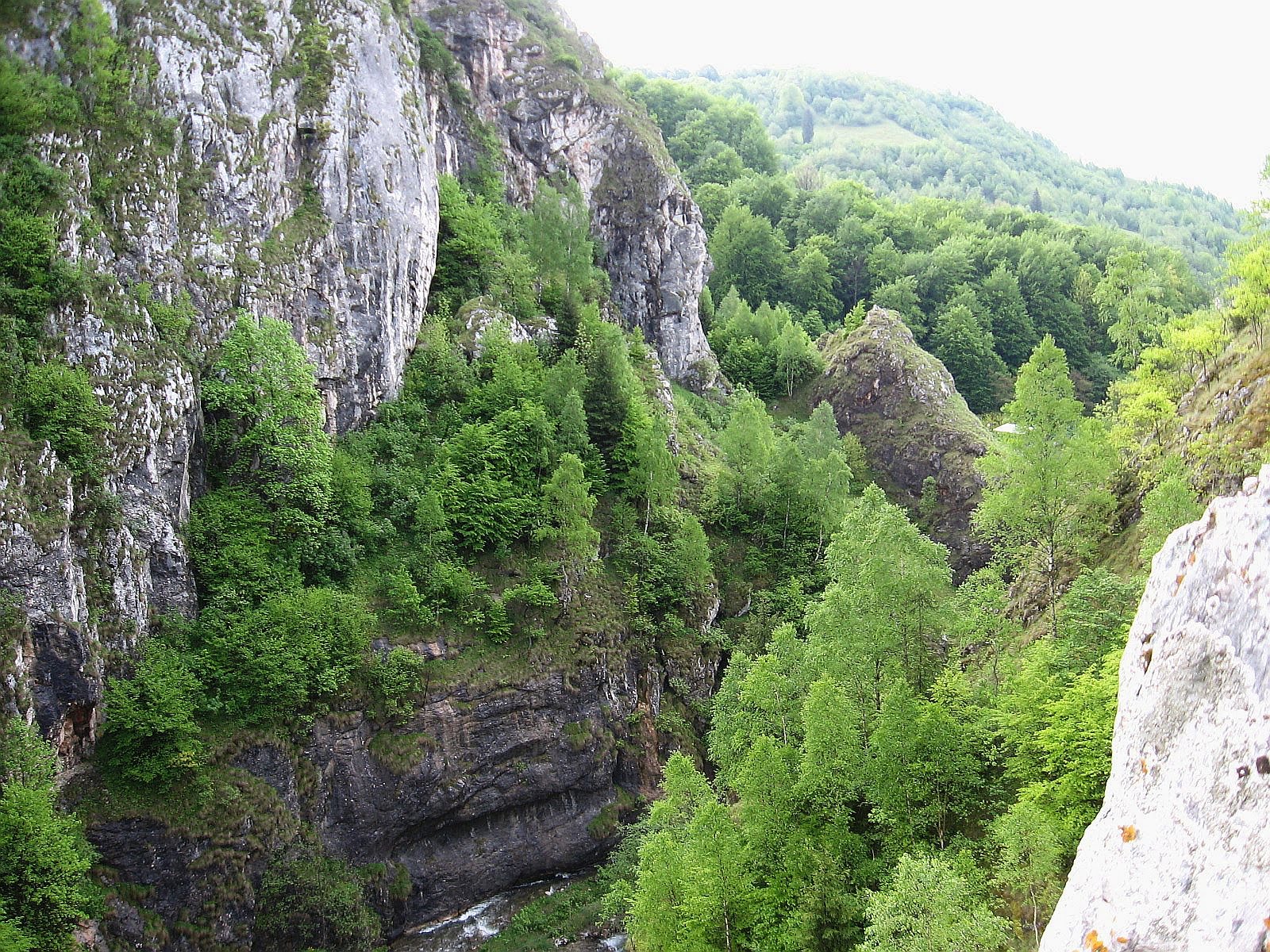 WOODEN SPOON INSPIRED FROM NATURE: in Cheile Taia,