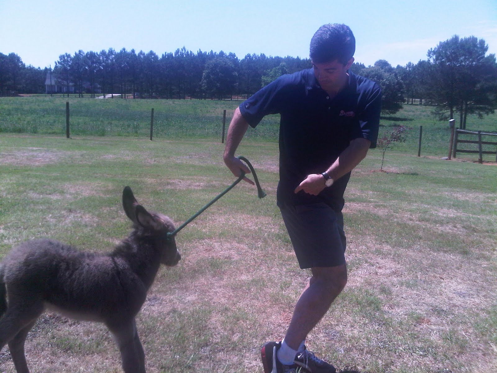 Owen Lincoln Flake's Baby Blog