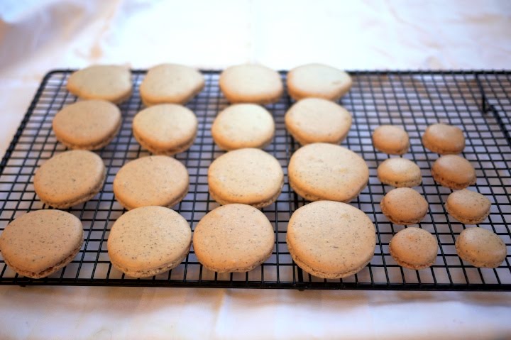 Chocci's: Earl Grey Tea Macaroons