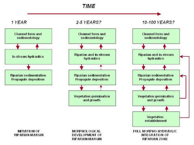 DESIGN WITH NATURE: Case Study of River Restoration