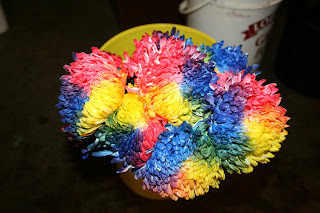 A. Perri Farms: Tinted Rainbow and Red, White, and Blue Football Mums