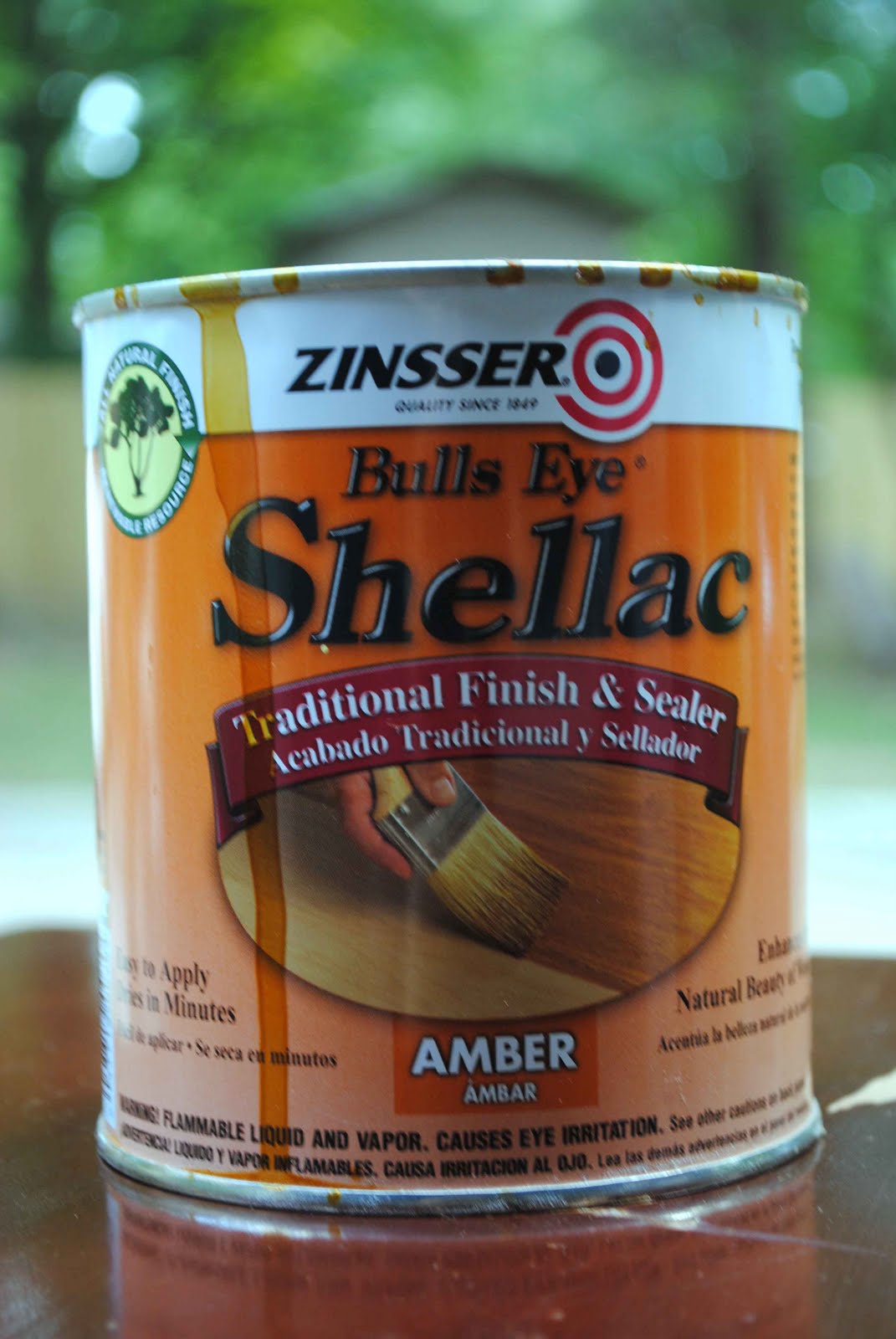 THE NORTHENS: Shellac is Back