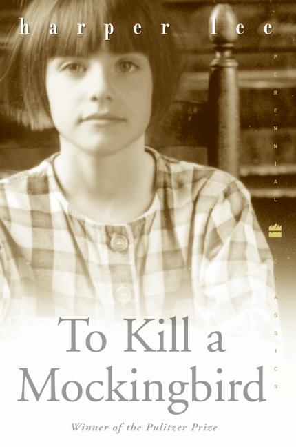 Little Reader Book Reviews & More: To Kill a Mockingbird