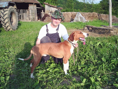 PUPPY CARE CENTER: Posavski Gonic Posavaz Hound SCENT HOUND FROM THE ...