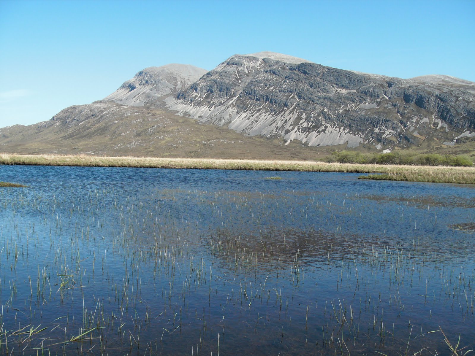 Walk and Hike in Scotland: Arkle Sutherland North West Scotland