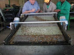 Gondwanaland Diamonds: Grease Table