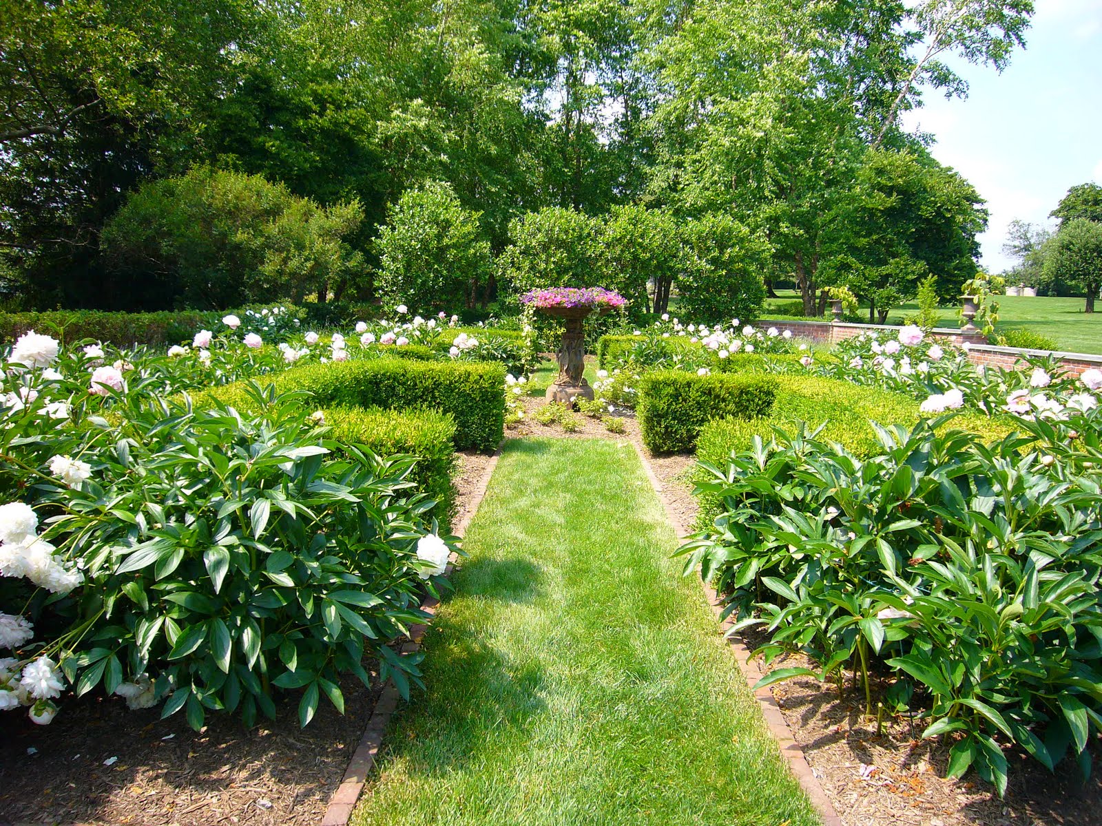 Content in a Cottage: Peony Garden | From Last Week's Tour