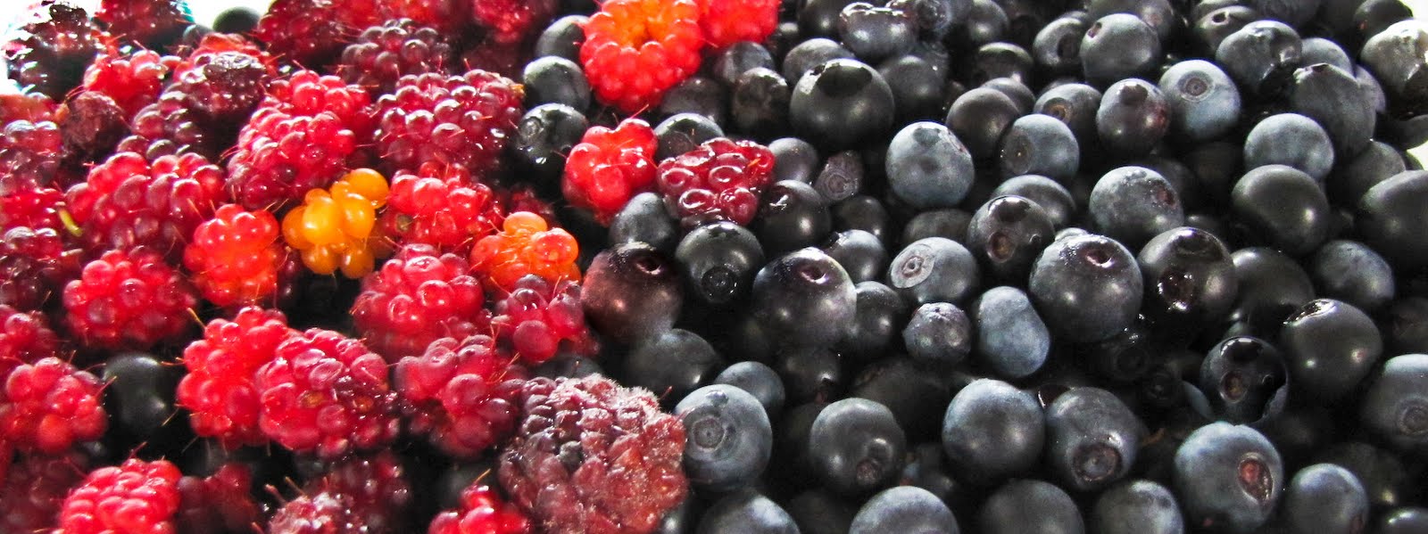 OnTheMove-In the Galley: WildBerry Crisp