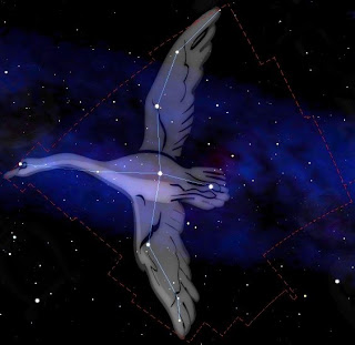 A LA DECOUVERTE DES ETOILES: CONSTELLATION DU CYGNE ( CYGNUS )
