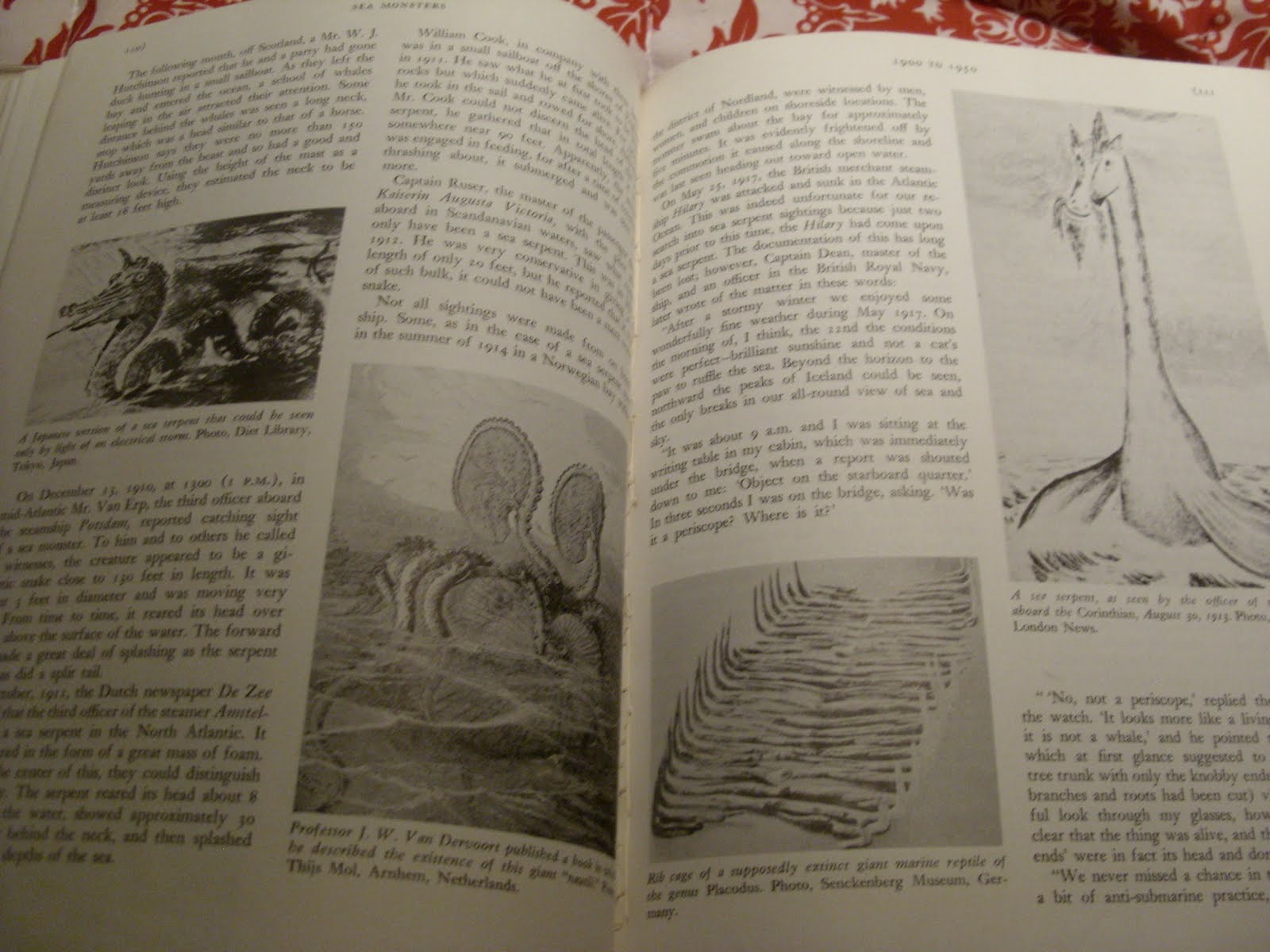 wandering genie: The Haunted Bookshelf