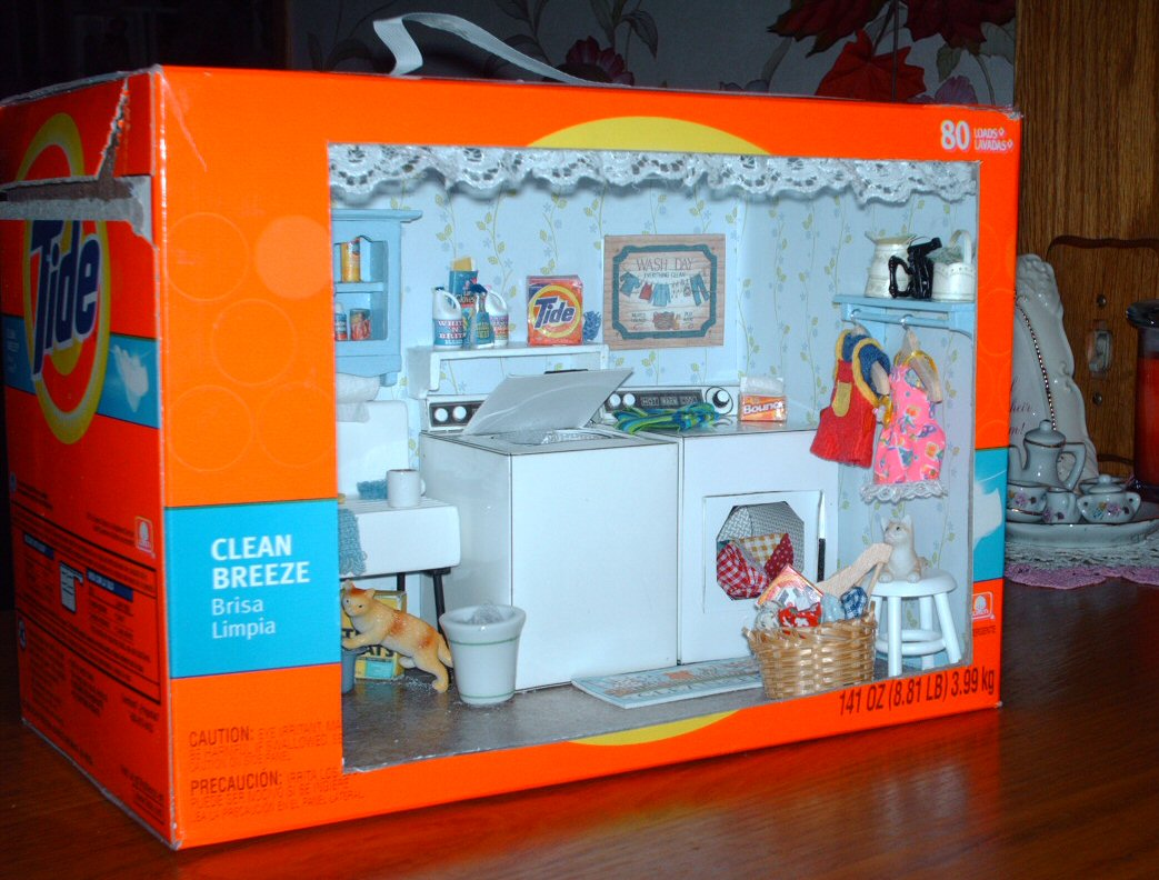 Chris P.'s Minis and More: My lastest project-Tide box laundry room