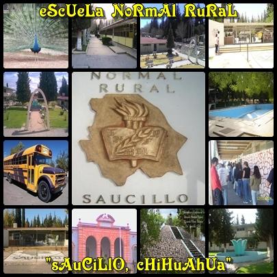 escuela normal rural ricardo flores magon: breve historia de la normal