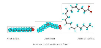 Golden Word Knowledge: Struktur Kimia Lipid