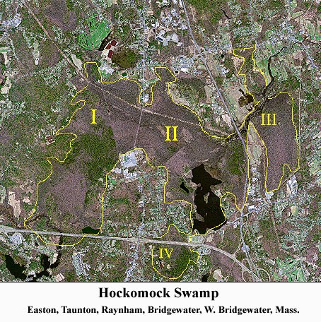 Lost in Easton: Reconstructing the Hockomock Swamp: What Used to be ...