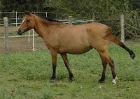 Knowability: Context of Evaluating Counterfactuals