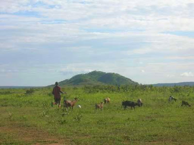 Des racines et des pousses en Tanzanie: Le programme Roots & Shoots ...