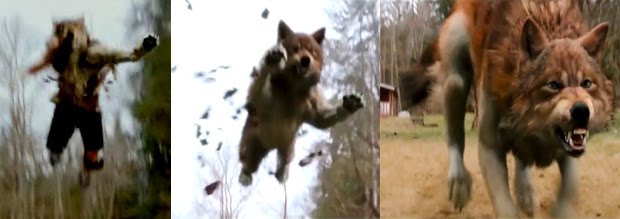 Selina's Place: Get to Know the Twilight Saga Movie!