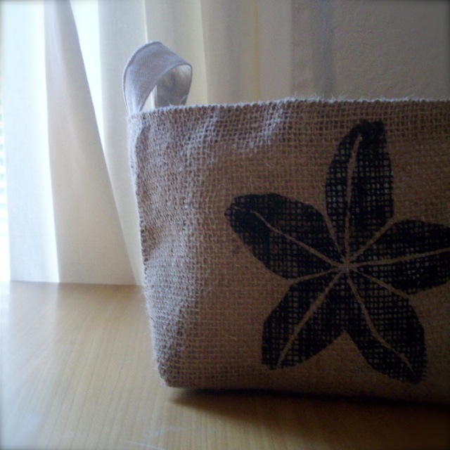 Brin & Nohl: Folded :: The Origami Collection