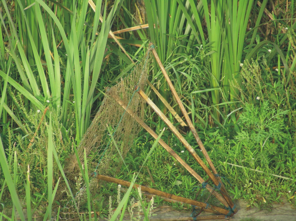 thinkunthink: ‘Why don’t the birds pose?’, ‘Half naked forest guards ...