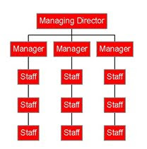 ACCA: Span of control and Scalar Chain