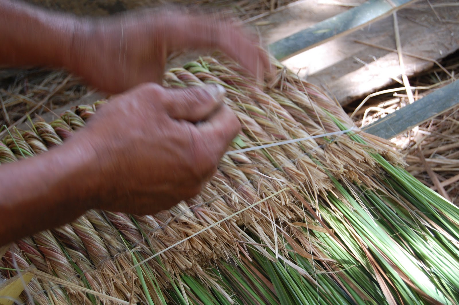 adventures in sustainability: Making Cogon Grass Roofing