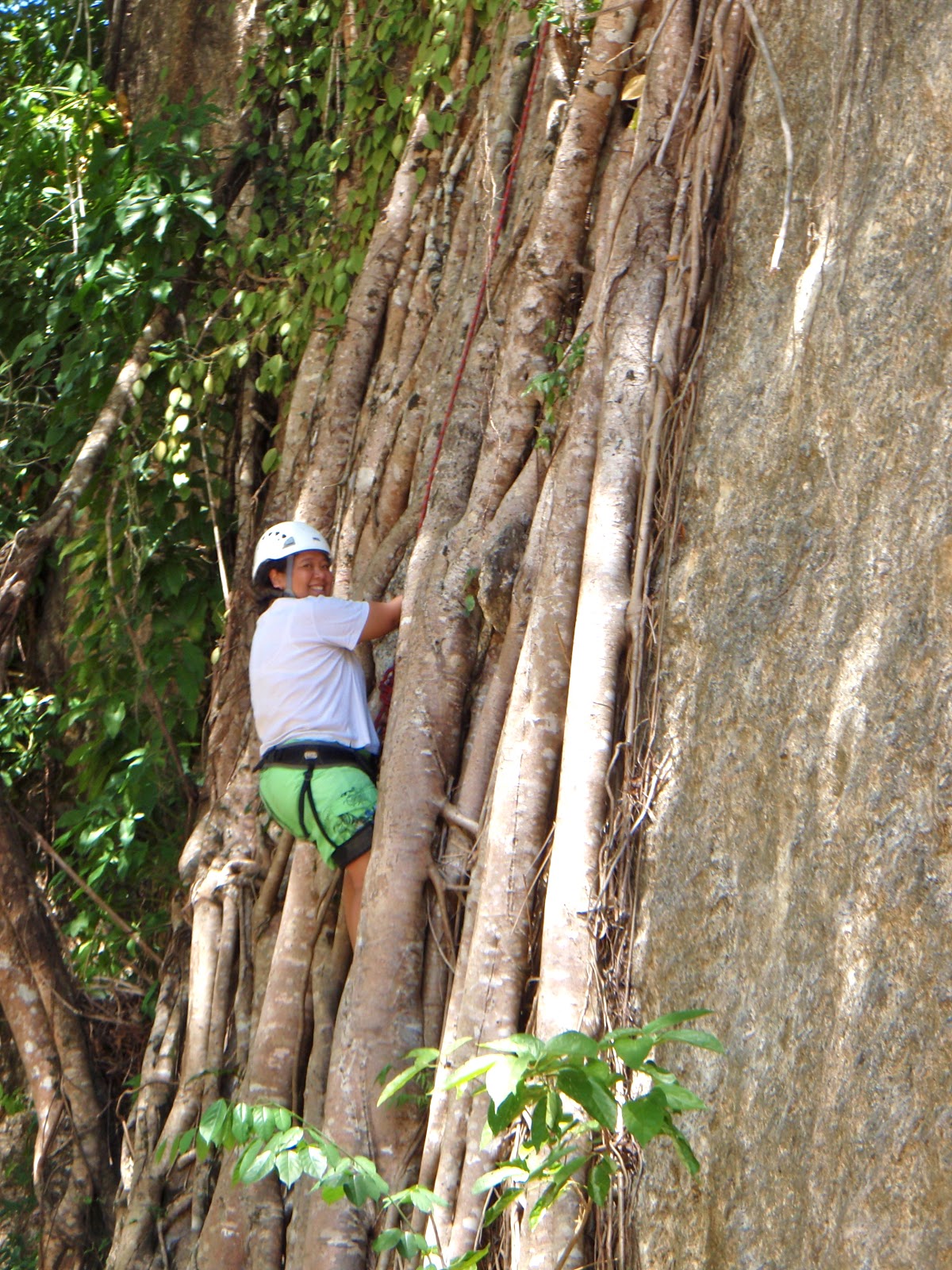 adventures in sustainability: Tree Root Climbing and Rapelling in Danao ...