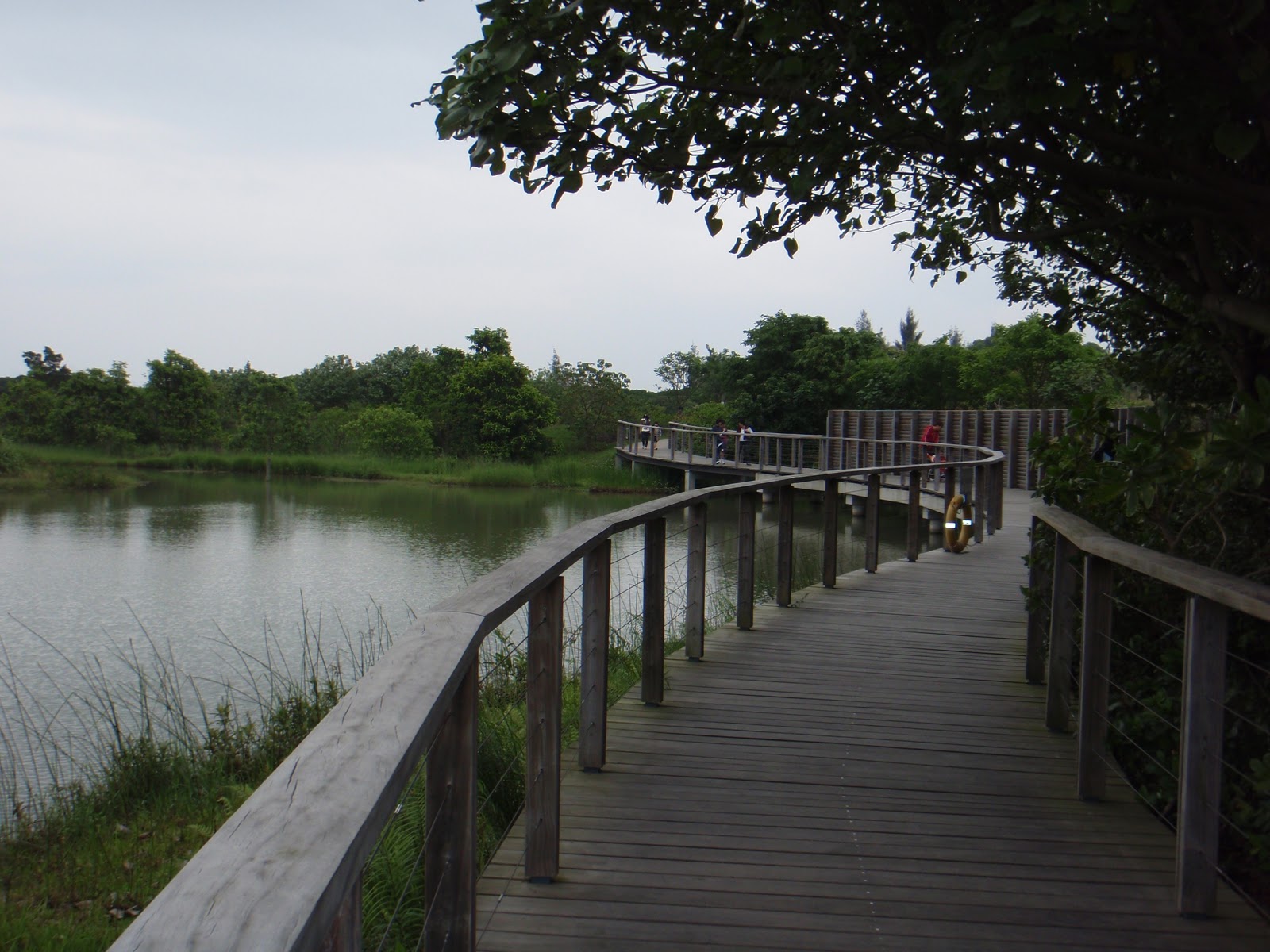 adventures in sustainability: The Hong Kong Wetland Park, New ...