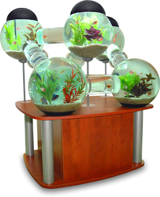Technology: The Modular Fish Tank