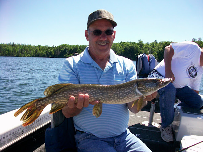 WELCOME TO THE HURLBURT FAMILY GUIDE SERVICE