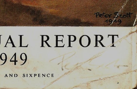 Bird and Wildlife Illustration: Sir Peter Scott