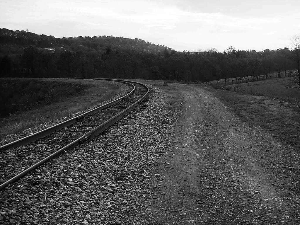 Digital Photography: Leading Line/Curve