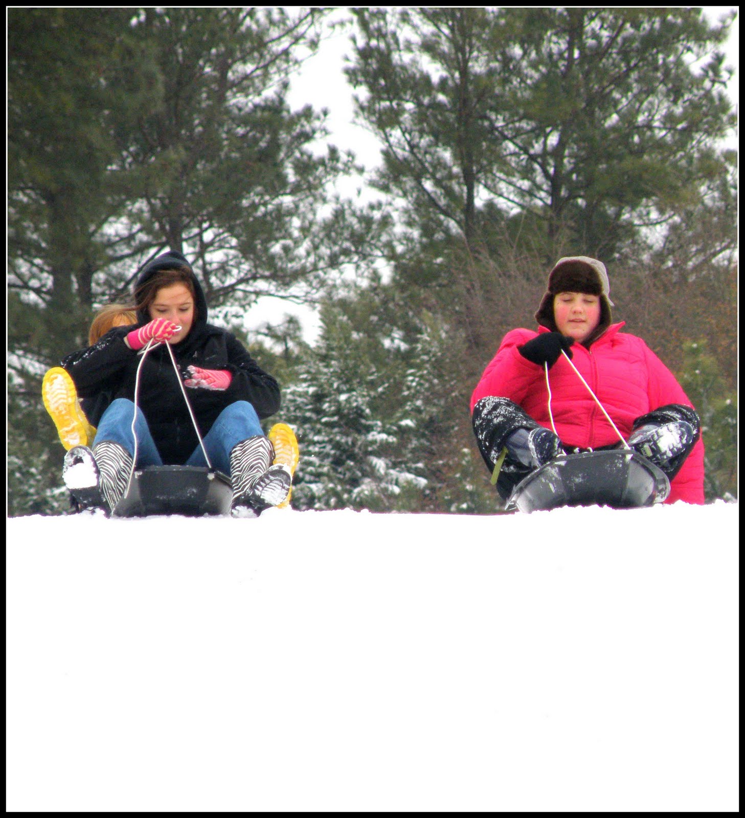 Shanty Insanity!: January 2011